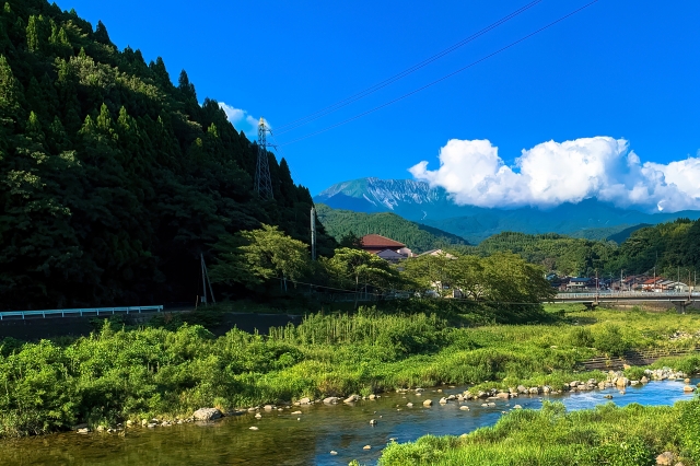 バヤシ(bayashi)のTikTok.年齢.身長.年収を徹底調査‼ | 料理系YouYuber（ユーチューバー）紹介サイト
